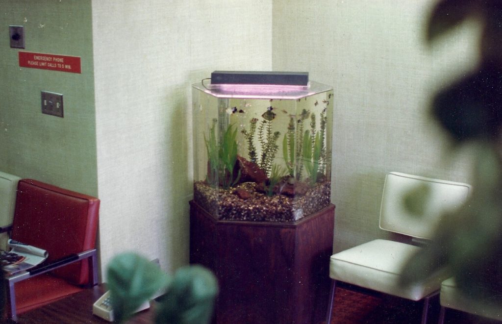 Hospital Aquariums - Fresno, CA